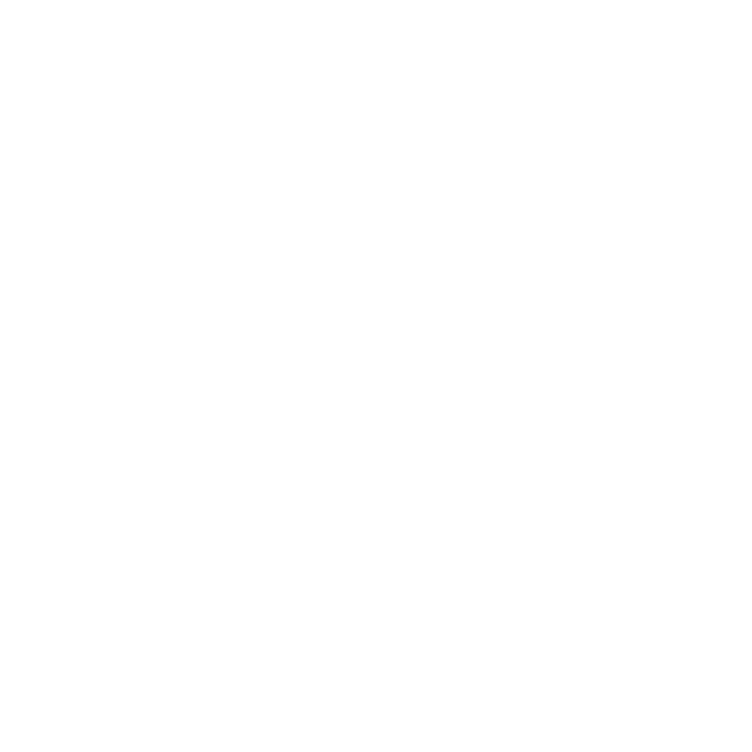 Case Study Icon App Guardians